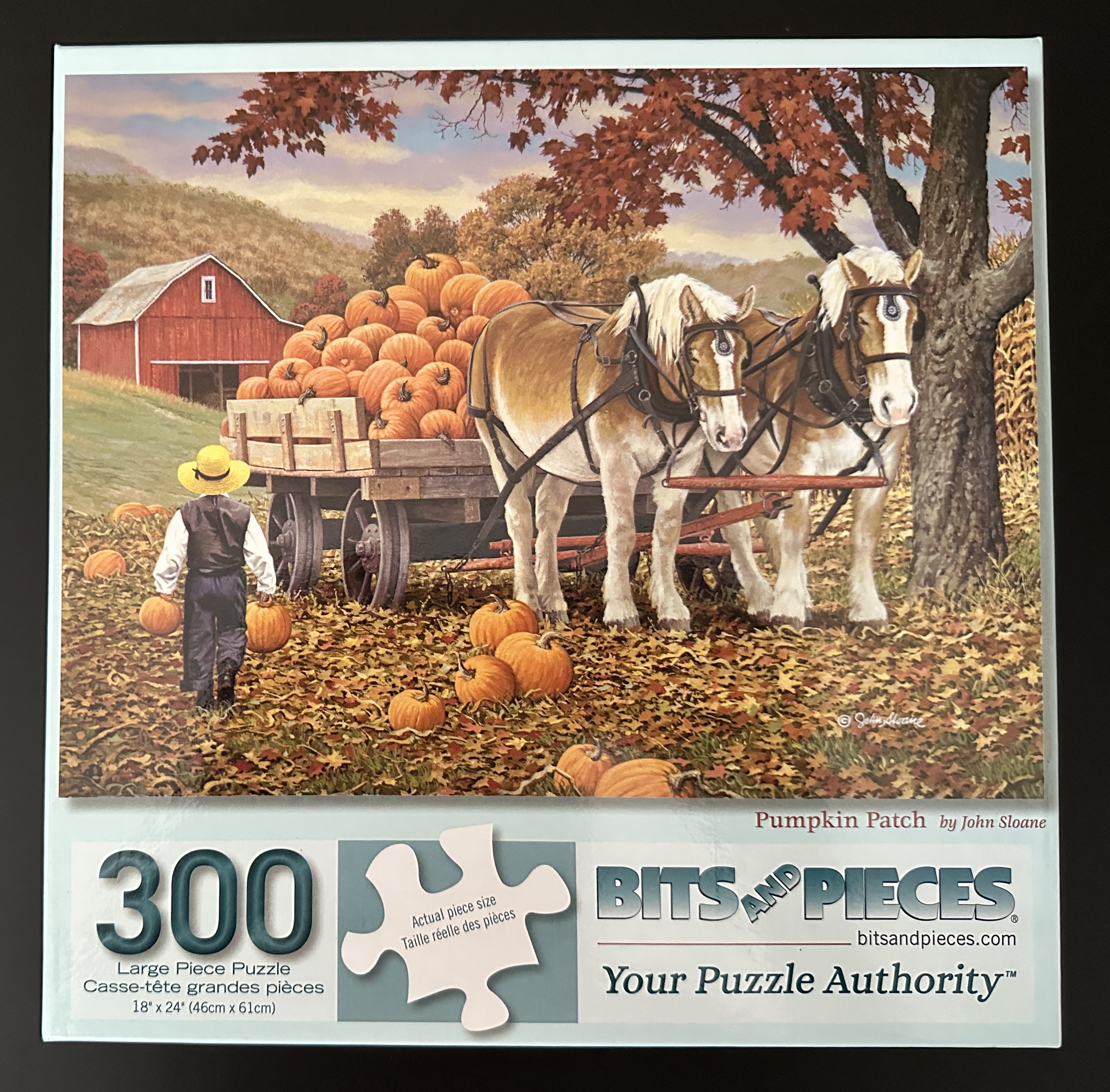 30196 - Bits and Pieces - Large Format Puzzle - 18" x 24" - John Sloane ...