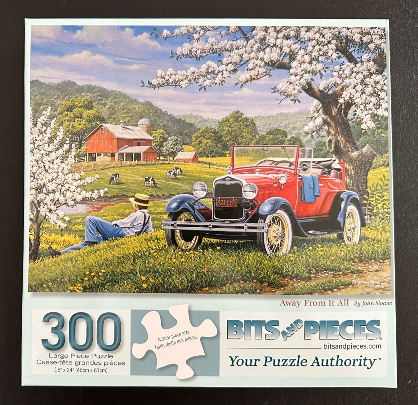 30336 - Bits and Pieces - 18" x 24" - John Sloan - Away From It All ...